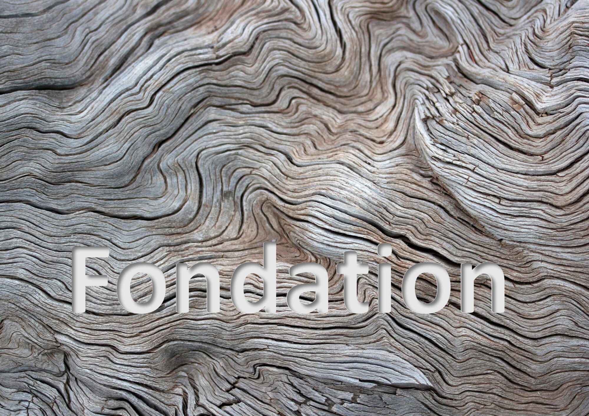 Fondations (Moneyval) : changements à jour de la Loi n° 1.559 du 29 ...